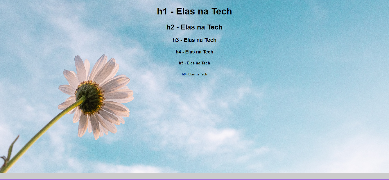 Desafio Final - Elas na Tech ♥